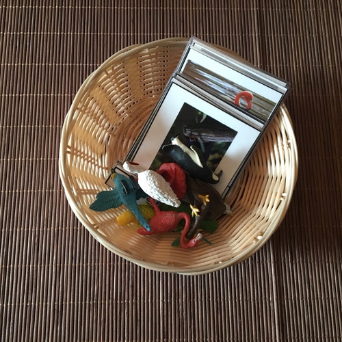 Montessori Backyard Birds Four Part Cards With Matching - Etsy