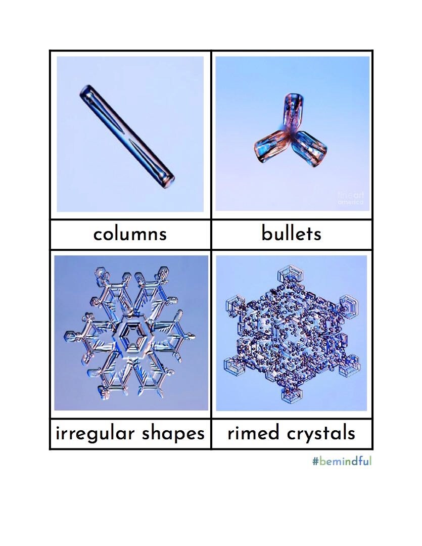 Formation and Types of Snowflakes Montessori Three/four Part Cards - Etsy