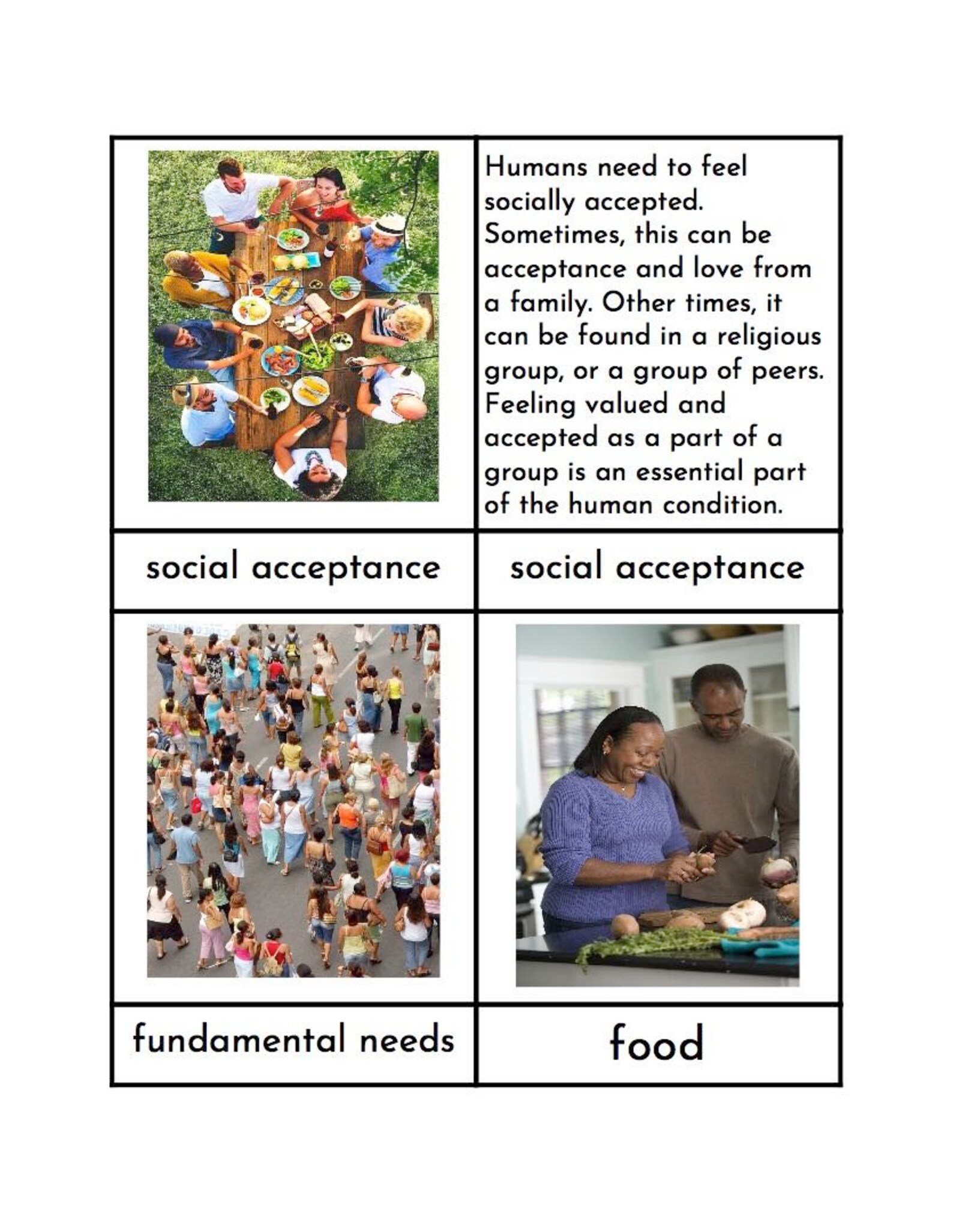 Montessori Fundamental Needs of Humans Three/four Part Cards - Etsy