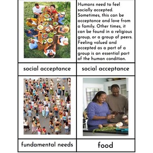 Montessori Fundamental Needs of Humans Three/four Part Cards - Etsy