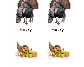 Extreme Weather Montessori Three/four Part Cards | Etsy