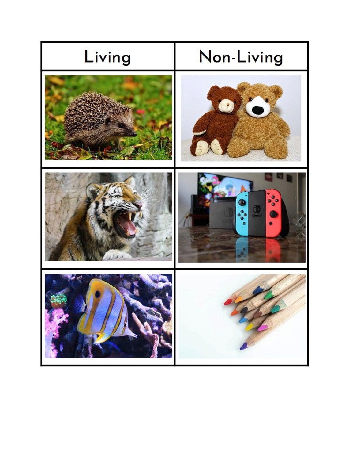 Living and Non-living Sorting Cards - Etsy