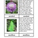 Types of Plants Montessori Three Part Cards - Etsy
