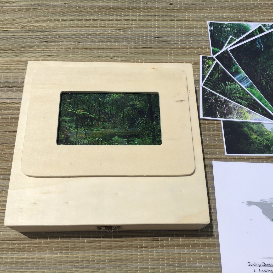 Full Set of Biome Boxes 8 Complete Sets - Etsy