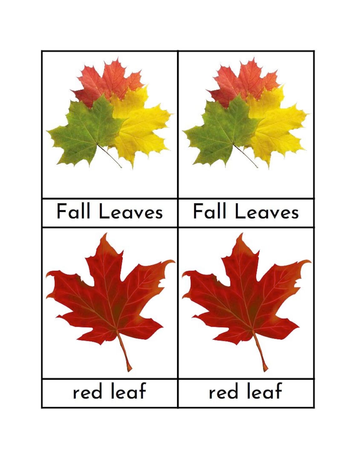Autumn Leaves Color Matching Three Part Cards - Etsy
