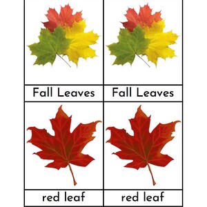 Autumn Leaves Color Matching Three Part Cards - Etsy