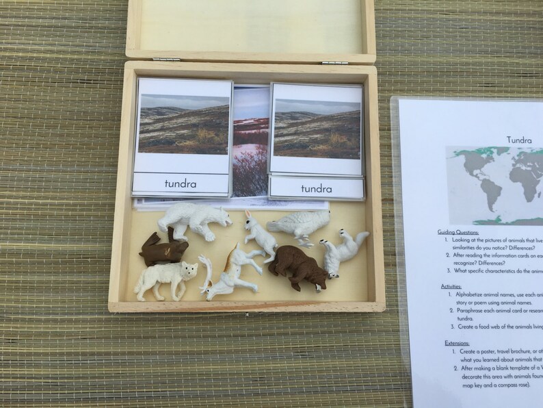 Biome Box Tundra Objects & Three/four Part Cards - Etsy