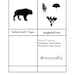 Montessori Prehistoric Food Chain Three/four Part Cards - Etsy