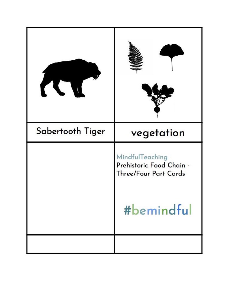 Montessori Prehistoric Food Chain Three/four Part Cards - Etsy