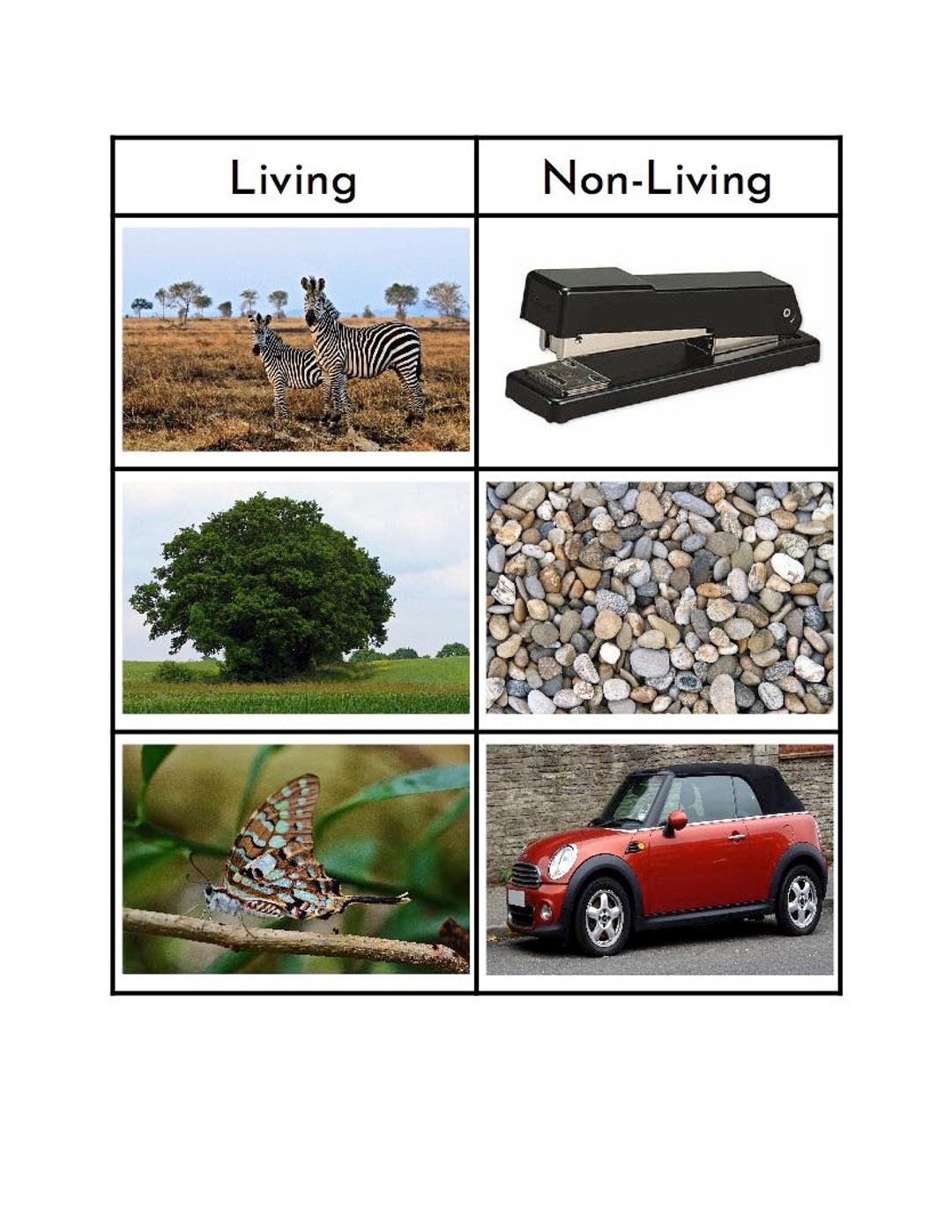 Living and Non-living Sorting Cards - Etsy