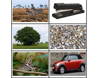 Living and Non-living Sorting Cards & Control Chart Science Printable ...