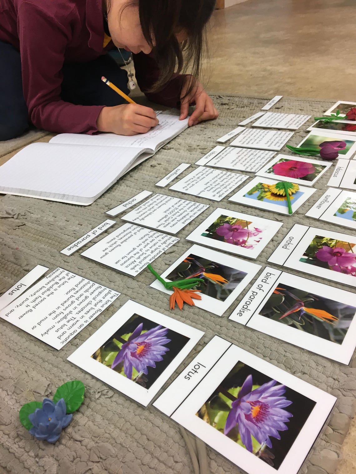 Montessori Flowers Three/four Part Cards With Matching Objects - Etsy