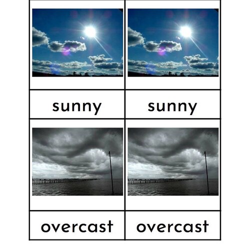 12 Cloud Type 3-part Montessori Cards Cloud Cards for Kids - Etsy