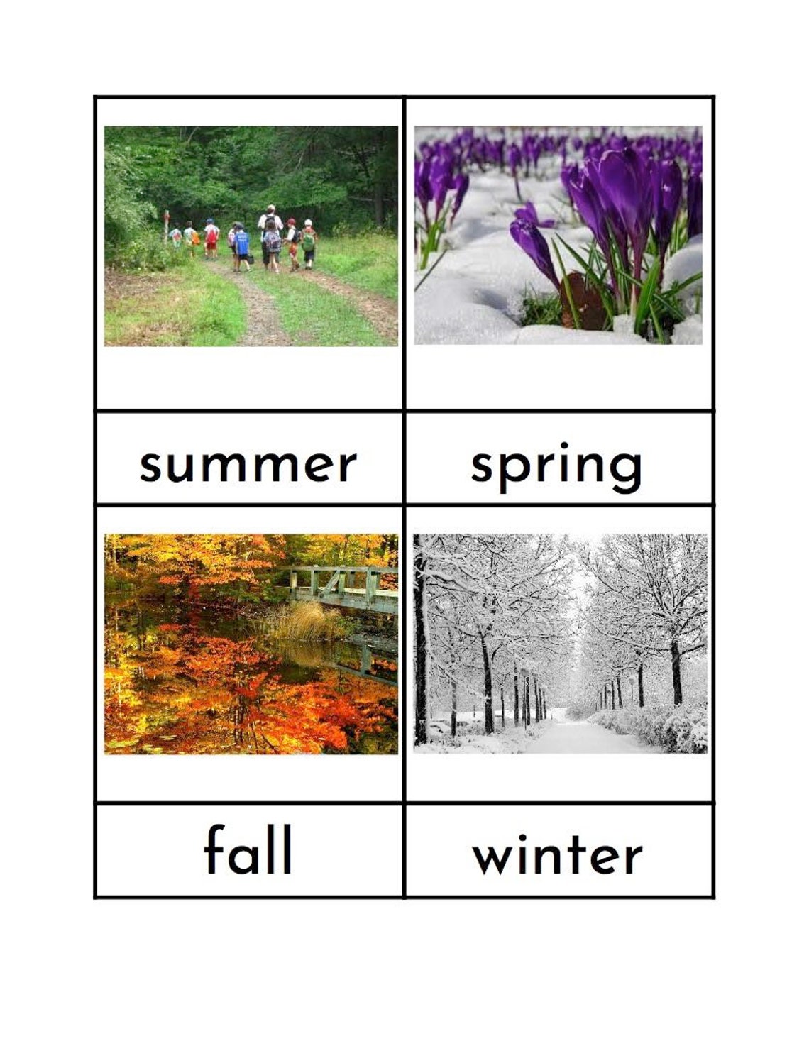 The Four Seasons Montessori Three Part Cards and Sorting Activity - Etsy