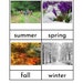The Four Seasons Montessori Three Part Cards and Sorting Activity - Etsy