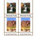 Beautiful Places on Earth australia Montessori Three Part Cards - Etsy
