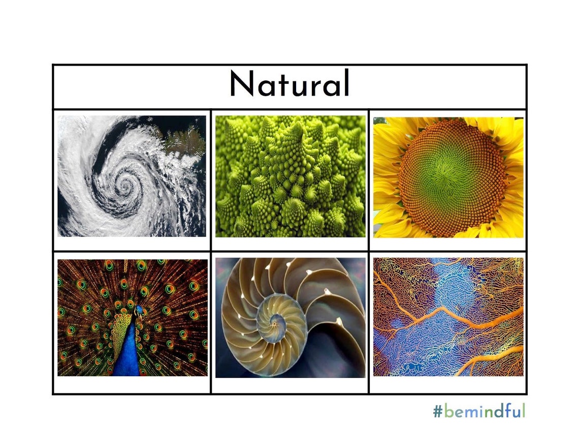 Types of Fractals Matching Cards | Etsy