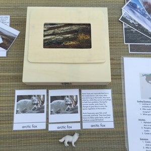 Full Set of Biome Boxes 8 Complete Sets - Etsy