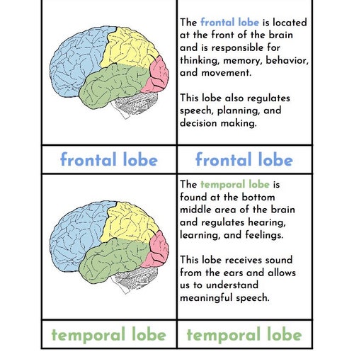 Periodic Table of Elements Montessori Three/four Part Cards - Etsy