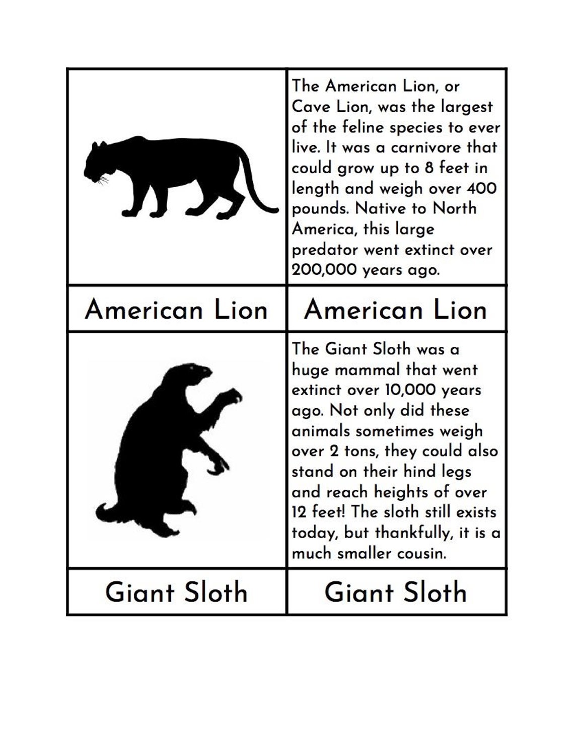 Montessori Prehistoric Food Chain Three/four Part Cards - Etsy