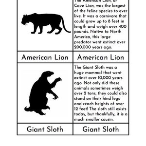 Montessori Prehistoric Food Chain Three/four Part Cards - Etsy