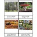 Montessori Parts of an Ecosystem Three/four Part Cards - Etsy