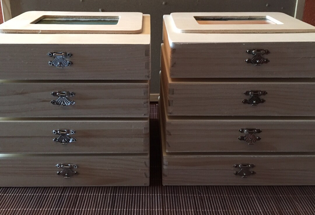 Full Set of Biome Boxes 8 Complete Sets - Etsy