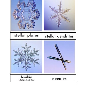 Formation and Types of Snowflakes - Montessori Three/four Part Cards - Etsy