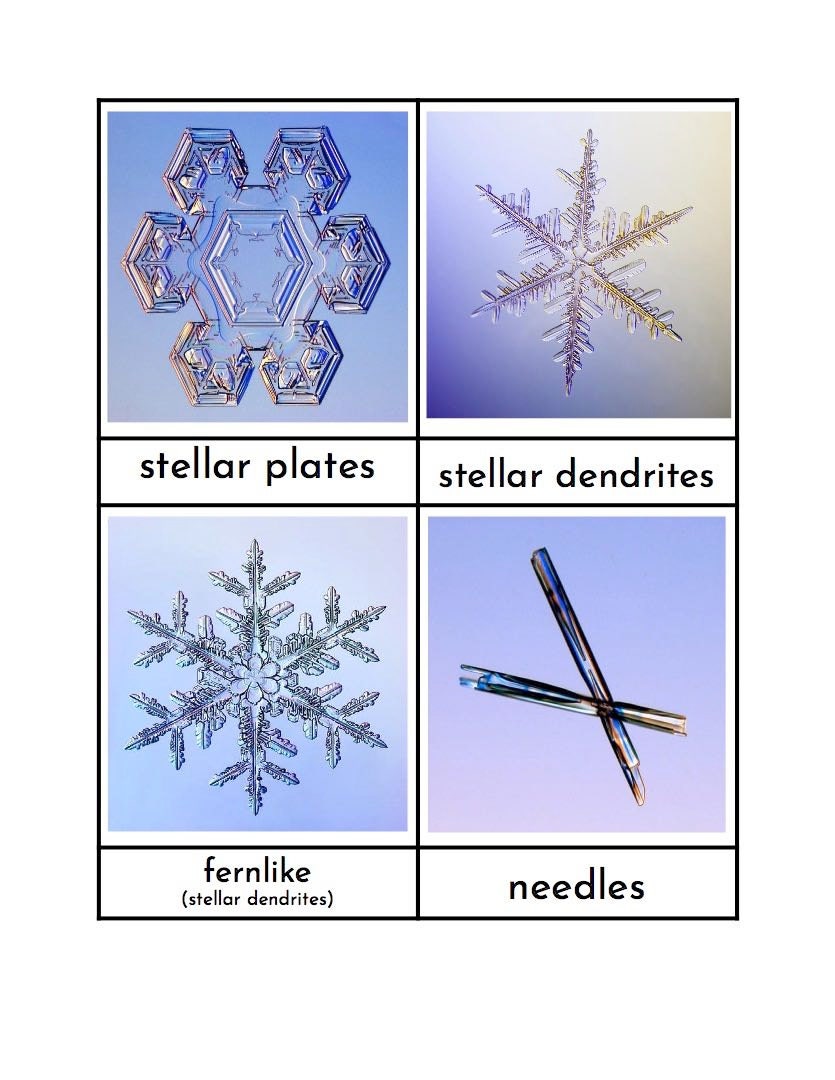 Formation and Types of Snowflakes Montessori Three/four Part Cards - Etsy