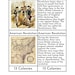 Montessori Prehistoric Food Chain Three/four Part Cards - Etsy