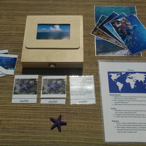 Biome Box Wetland Objects and Three/four Part Cards - Etsy