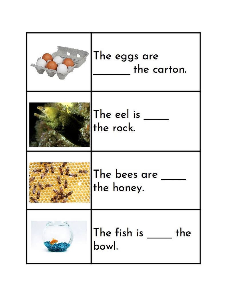 Montessori Prepositions Work on & In - Etsy