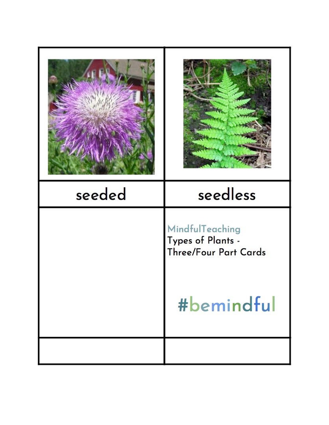 Types of Plants Montessori Three Part Cards - Etsy
