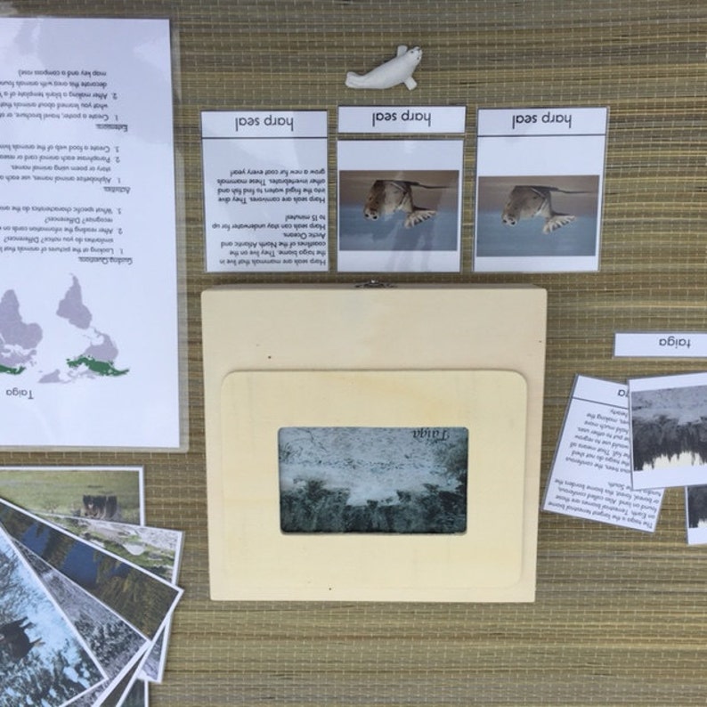 Biome Box Taiga Objects & Three/four Card Cards | Etsy