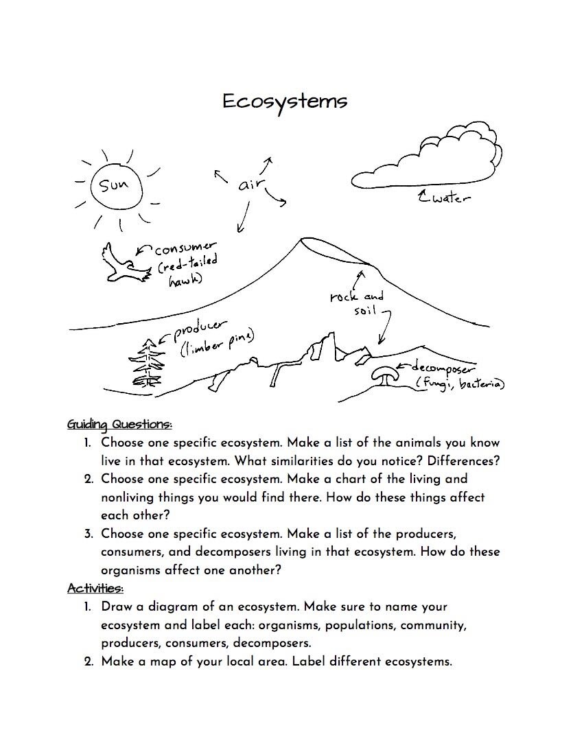 Montessori Parts of an Ecosystem Three/four Part Cards - Etsy