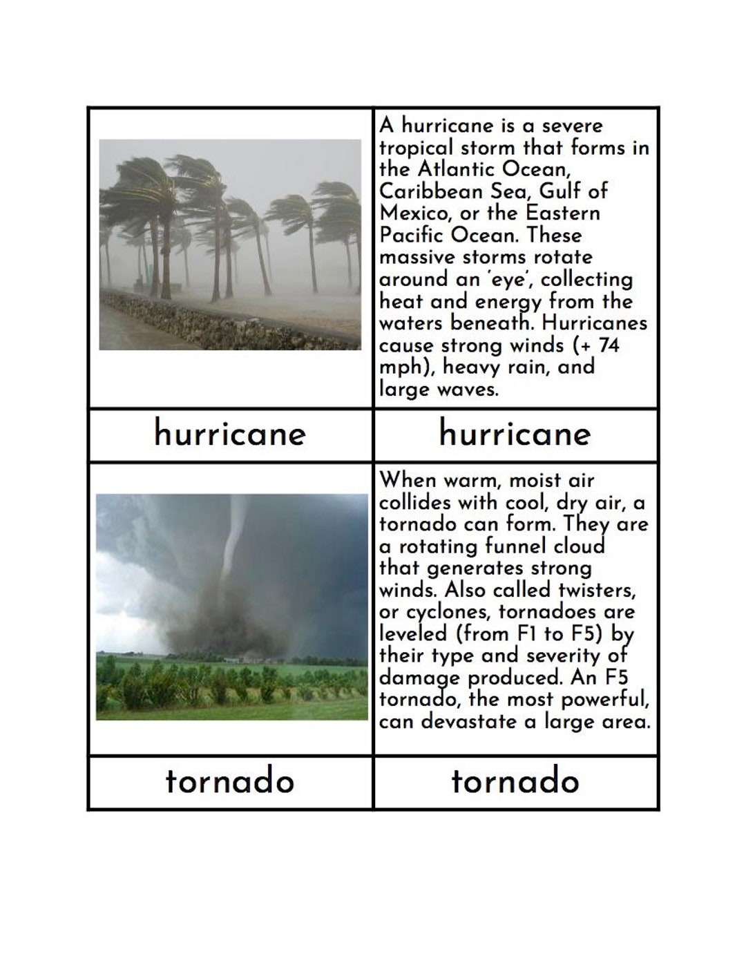 Extreme Weather Montessori Three/four Part Cards - Etsy