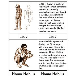 Montessori Prehistoric early Man Three/four Part Cards - Etsy