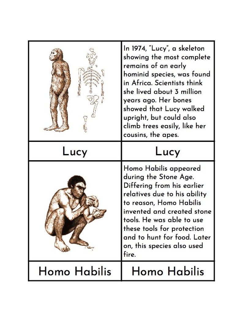 Montessori Prehistoric early Man Three/four Part Cards - Etsy