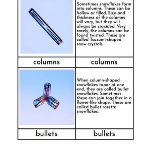 Formation and Types of Snowflakes - Montessori Three/four Part Cards - Etsy