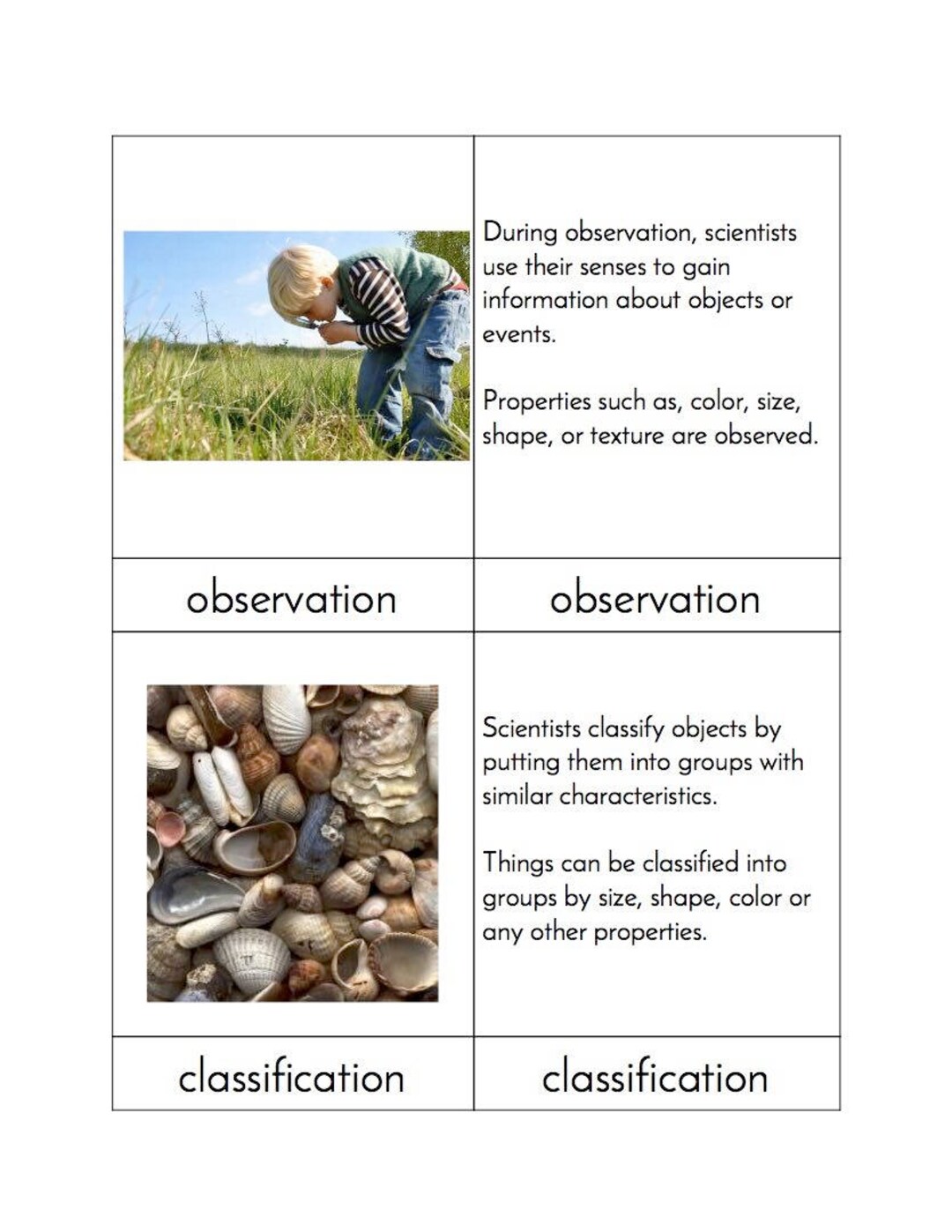 Montessori Scientific Process Skills Three/four Part Cards - Etsy