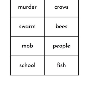 Montessori Word Study Nouns complete - Etsy