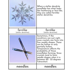 Formation and Types of Snowflakes - Montessori Three/four Part Cards - Etsy