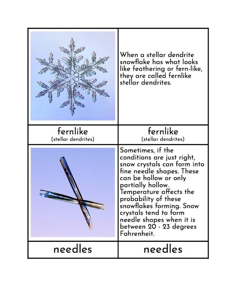 Formation and Types of Snowflakes Montessori Three/four Part - Etsy