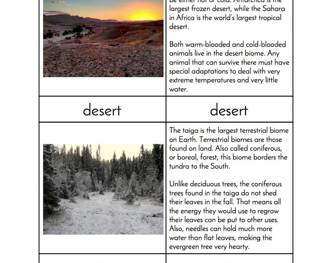 Biomes of the World - Montessori Three/four Part Cards - Etsy
