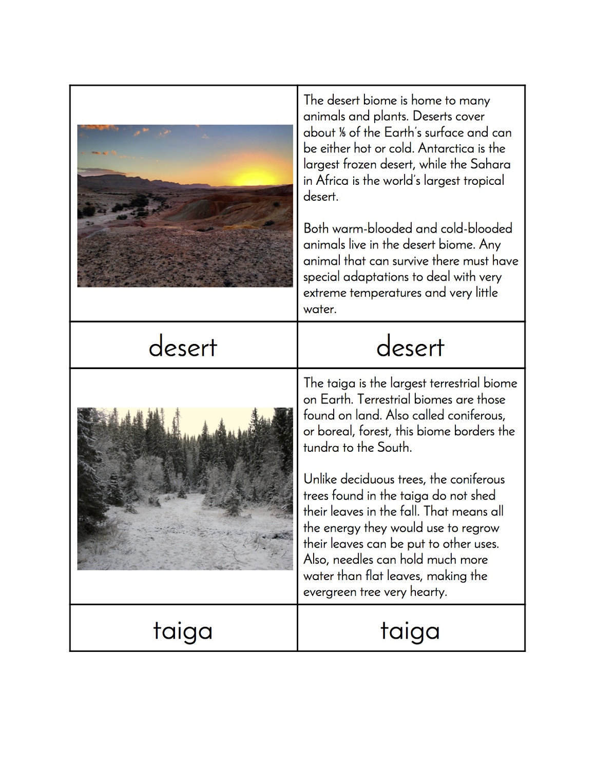 Biomes of the World Montessori Three/four Part Cards - Etsy