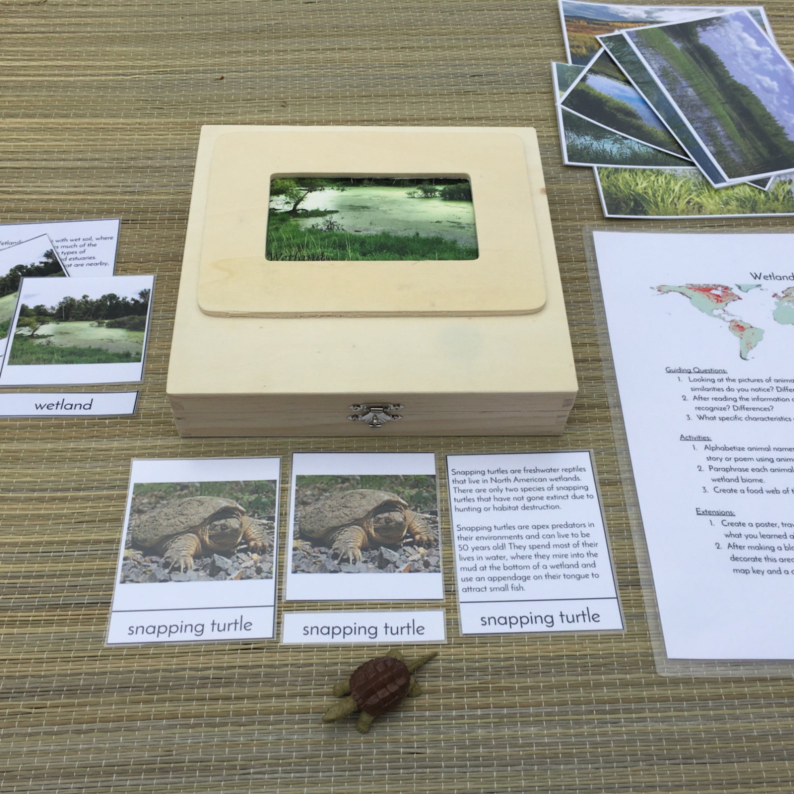 Biome Box Wetland Objects and Three/four Part Cards - Etsy