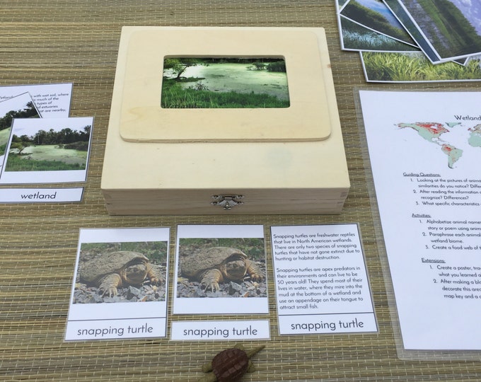 Biome Box Wetland - Objects and Three/four Part Cards - Etsy