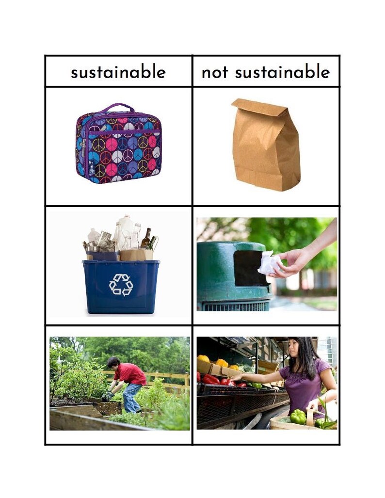Sustainable Vs. Not Sustainable Montessori Matching Cards With - Etsy