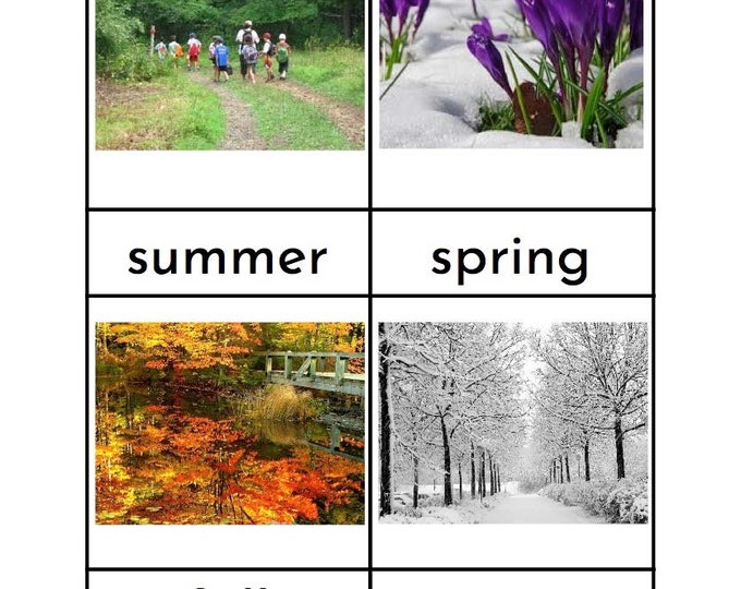 The Four Seasons - Montessori Three Part Cards and Sorting Activity - Etsy