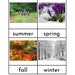 The Four Seasons Montessori Three Part Cards and Sorting - Etsy